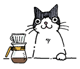 midnight cat cafe "catnap" by catnap