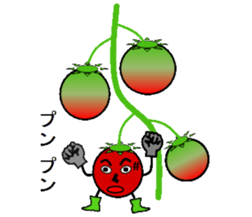 Tomato brothers by Vegetable design Lab