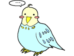 PI-chan of a parakeet by Gardenia sticker #4007338