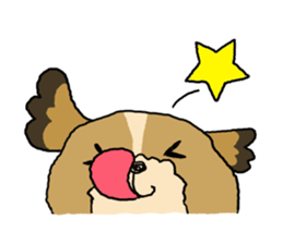 Shih Tzu Ume-chan by baachi sticker #4220003