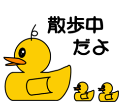 a middle aged duck sticker by carpediem
