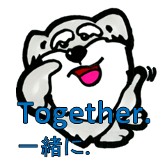 "MOCOCOA" of a Yorkshire terrier by yusuke morita