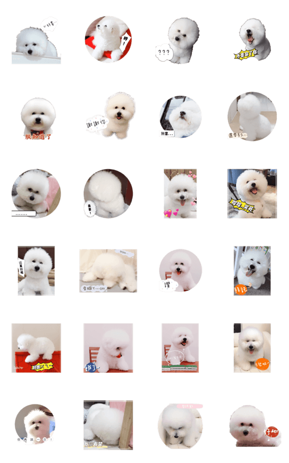 QQ dog - bao - LINEスタンプマニア【クリエイターズスタンプ】