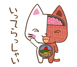 Anatomical model of the kitty's body by studiotoya sticker #6419570