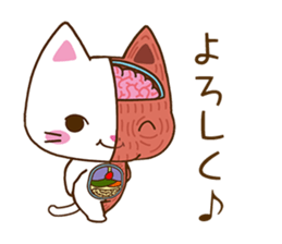 Anatomical model of the kitty's body by studiotoya sticker #6419580