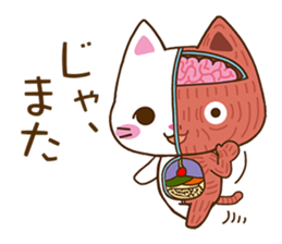 Anatomical model of the kitty's body by studiotoya sticker #6419584