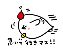 Bird of the loose face by shiyo