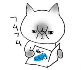 Nekoo exotic short hair(cat) by chanco