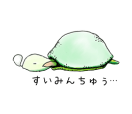 Red-eared slider's sticker by Kame.studio sticker #10583840