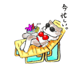 akitainu-nogiku stuck-up sticker ver.2 by Habuteru-vixen Hut sticker ...