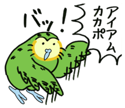 Kakapo in Yutoritou by tdkr sticker #10848274