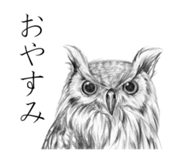 Realistic pencil drawing by Yuko Miyaki sticker #11886715