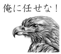 Realistic pencil drawing by Yuko Miyaki sticker #11886719