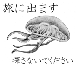 Realistic pencil drawing by Yuko Miyaki sticker #11886722