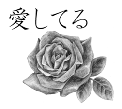 Realistic pencil drawing by Yuko Miyaki sticker #11886727