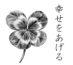 Realistic pencil drawing by Yuko Miyaki sticker #11886729