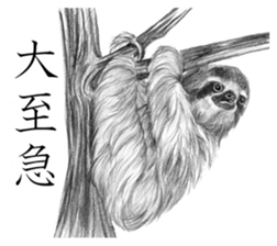 Realistic pencil drawing by Yuko Miyaki sticker #11886733