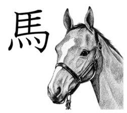 Realistic pencil drawing by Yuko Miyaki sticker #11886744