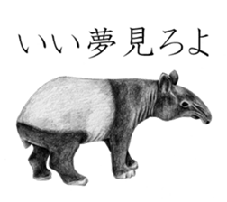 Realistic pencil drawing by Yuko Miyaki sticker #11886749