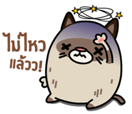 GAGO - Fat Cat Your Friend by DentSC-Design