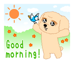 Daks black tan and Toy poodle by S-asayama sticker #12278570