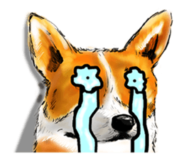 corgi KOBE's dog face by Howard Xie sticker #12484275