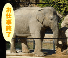 Word message of a bird and friends. by pore sticker #13426894