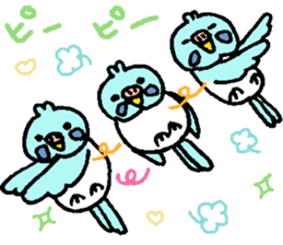 Parakeet of Pico by Junko O sticker #13540824