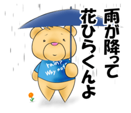 An easy-going bear by Ted Aoki