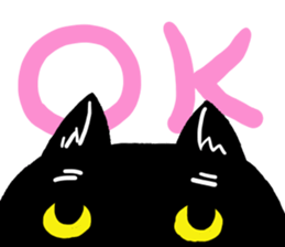 KAN-NA the cat with Haruka by Haruka Kimura