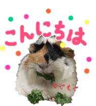 Susie,Pesci and happy friends by susie.pesci sticker #14437835