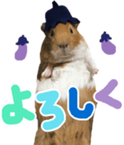 Susie,Pesci and happy friends by susie.pesci sticker #14437838