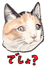 Bikkuri Animals: Wild Watercolor Faces by Erica Ward Illustration ...