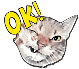 Bikkuri Animals: Wild Watercolor Faces by Erica Ward Illustration ...