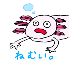 funny face Axolotl by white rice