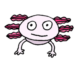 funny face Axolotl by white rice sticker #14736644