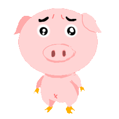 Shy pig by old moon
