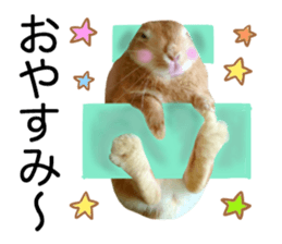 USAKO THE RABBIT Photo2 by Gummy candy sticker #15140731