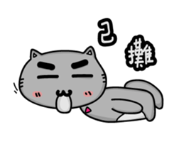 Gary cat & bye bye rabbit together by mina liu