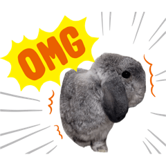 Jake The Rabbit & Family - line2me