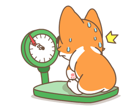 【泰文】PonPon Loves to Play! | Yabe-LINE貼圖代購 | 台灣No.1，最便宜高效率的代購網