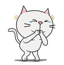 Kubo Cat Animated Stikers | Yabe-LINE貼圖代購 | 台灣No.1，最便宜高效率的代購網