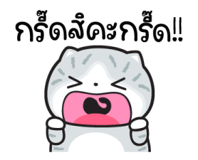 Munkaew Funny Cat V.6 | Yabe-LINE貼圖代購 | 台灣No.1，最便宜高效率的代購網