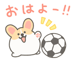 Football corgi animation stickers | Yabe-LINE貼圖代購 | 台灣No.1，最便宜高效率的代購網