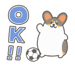 Football corgi animation stickers | Yabe-LINE貼圖代購 | 台灣No.1，最便宜高效率的代購網