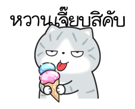 Munkaew Funny Cat V.7 | Yabe-LINE貼圖代購 | 台灣No.1，最便宜高效率的代購網